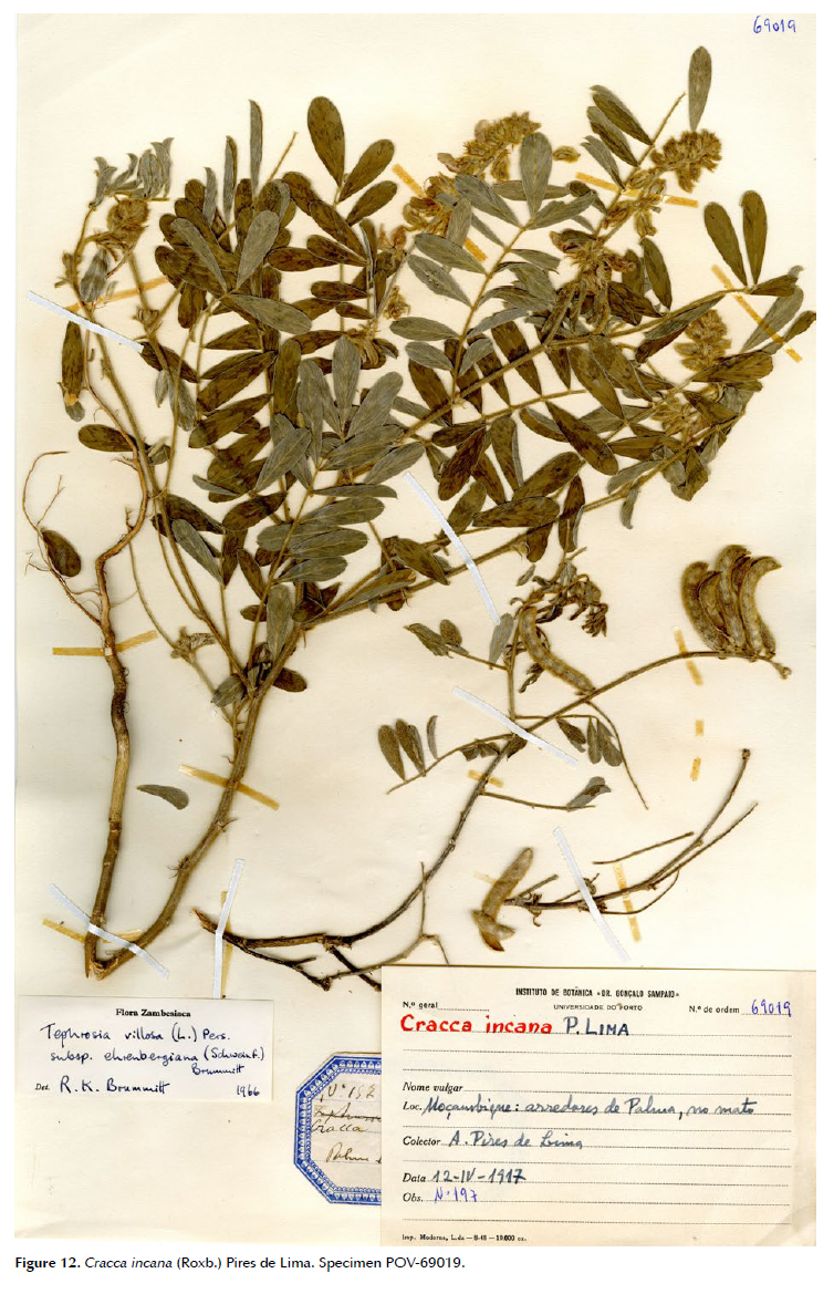 An appraisal of the Mozambique types and endemic taxa in the Pires de ...
