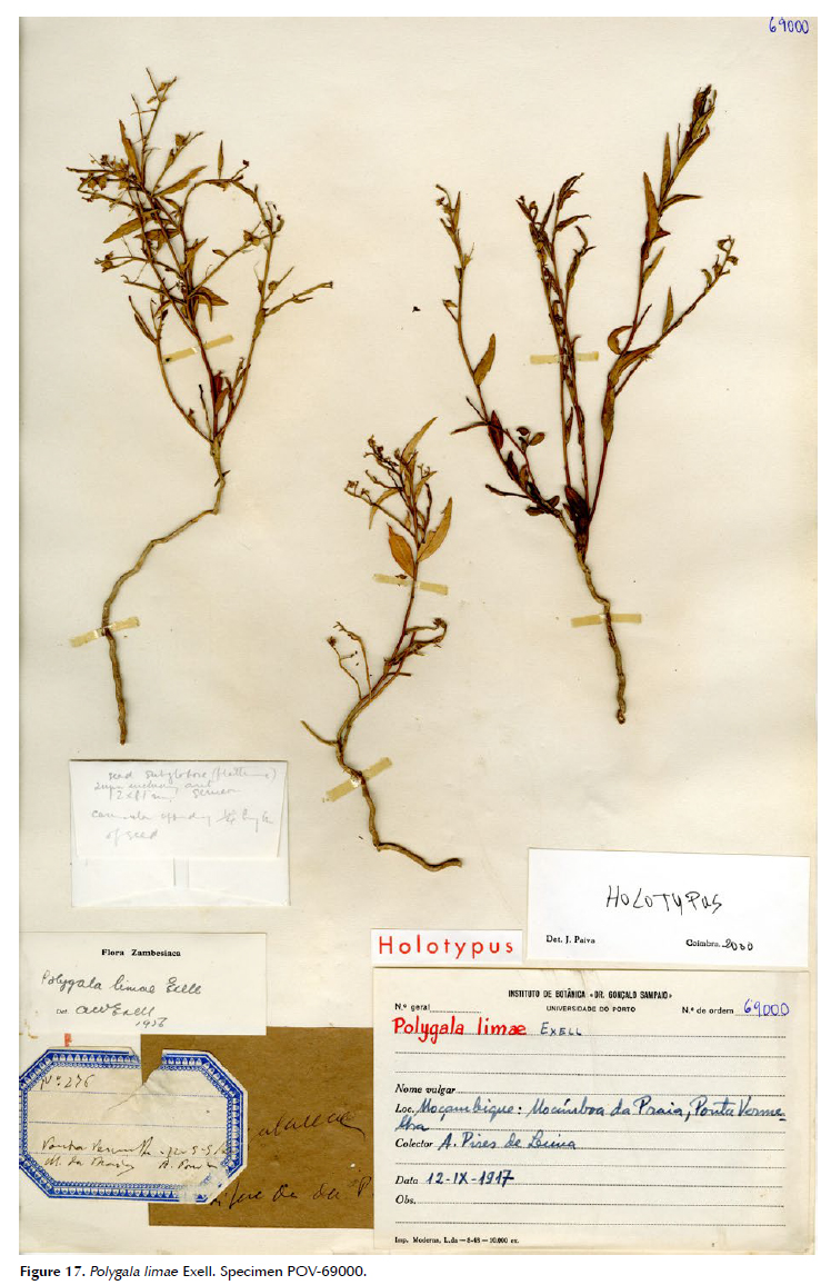 An appraisal of the Mozambique types and endemic taxa in the Pires de ...