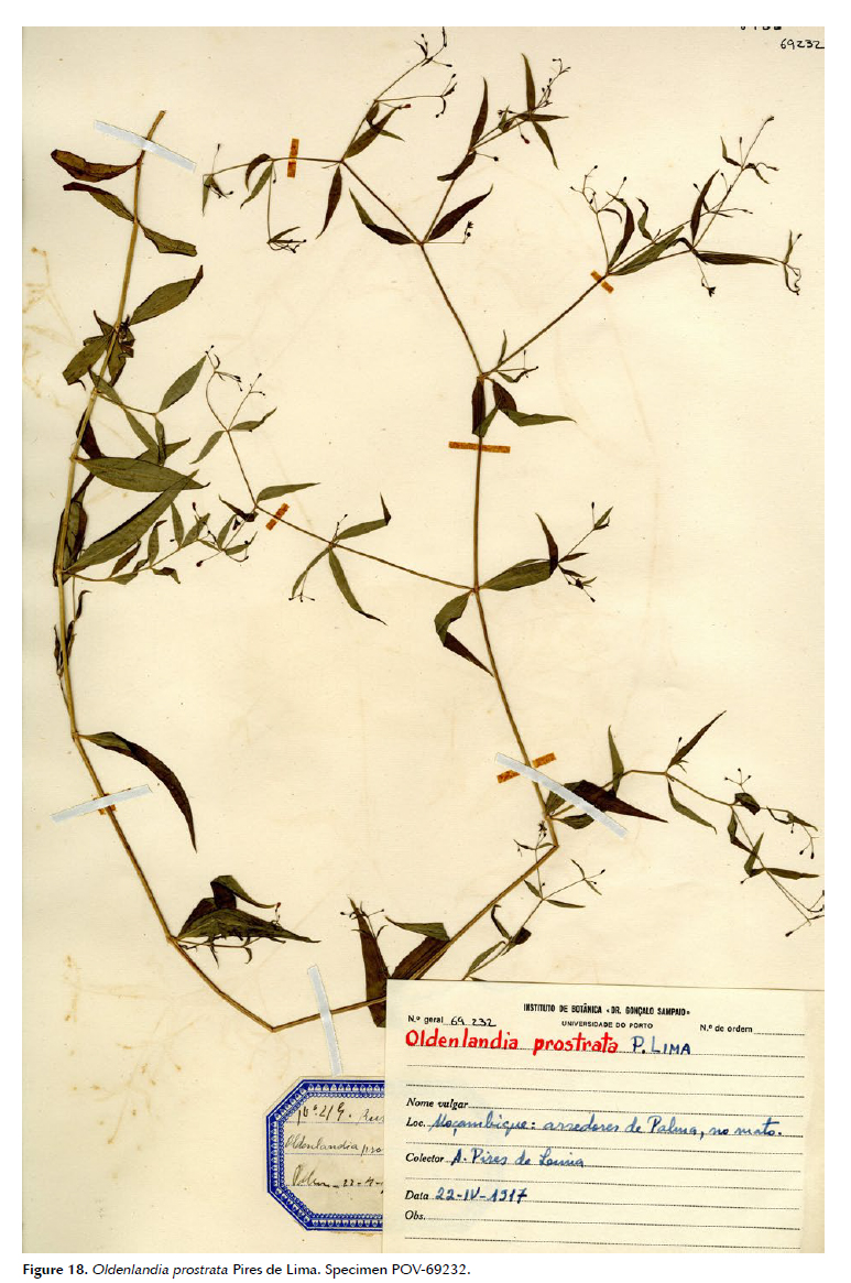 An appraisal of the Mozambique types and endemic taxa in the Pires de ...