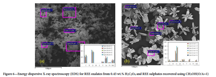 Comparing the recovery of rare earth elements from ion-adsorption clay ...
