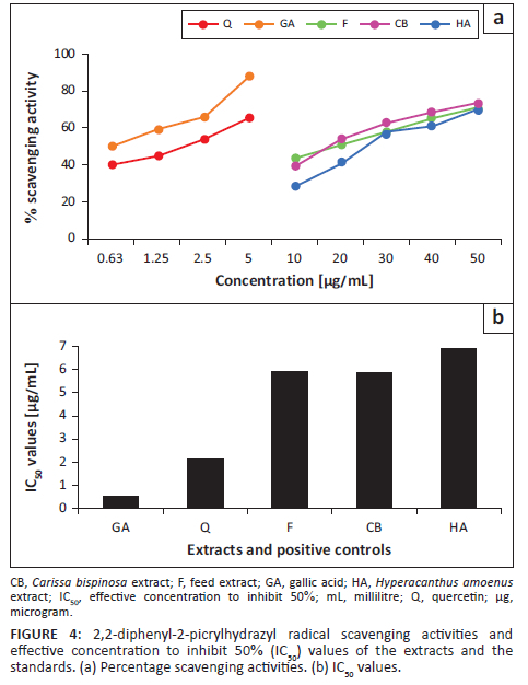 Method validation and antioxidant activities of Hyperacanthus amoenus ...
