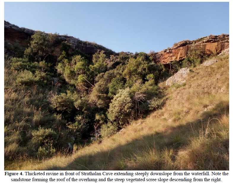 Strathalan Cave revisited: Stone Age networks and environments at the ...