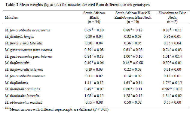 Carcass and muscle yields of ostriches as influenced by genotype