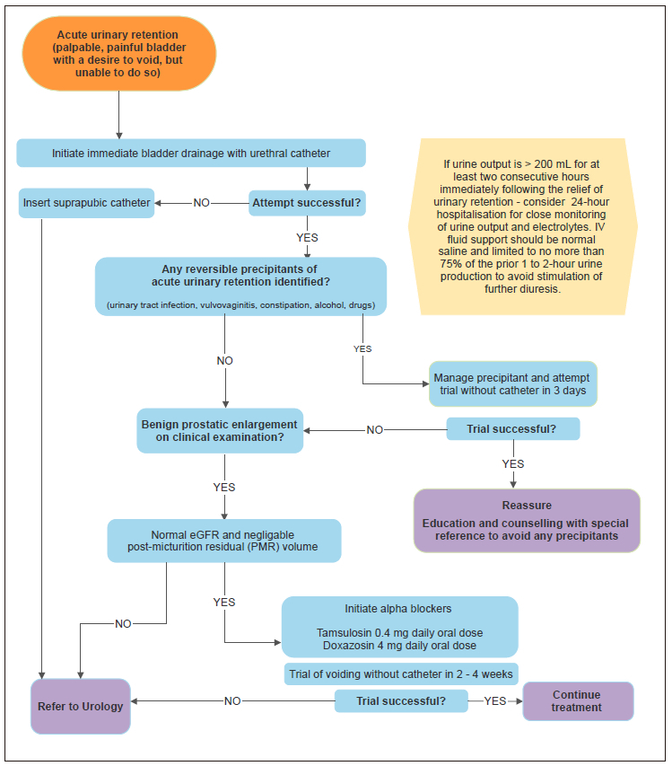 Urology Pathways For The Primary Care Physician Urology Pathways For The Primary Care Physician