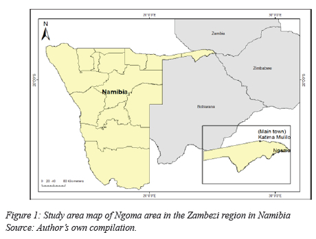 Illicit Activities and Border Control in Ngoma, Namibia